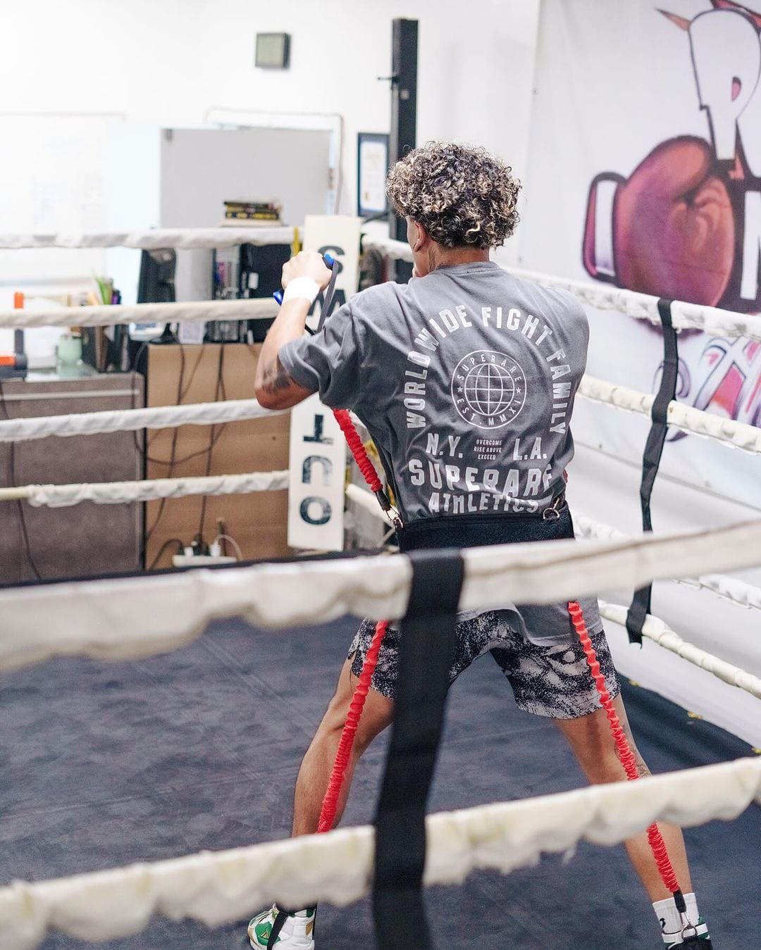 Boxystraps® - Full body resistance straps